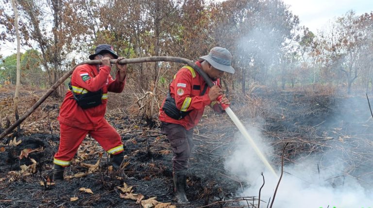 Terbantu Hujan Ringan, Operasi Pemadaman Karhutla di Kuala Kampar Mulai ...